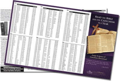 Read the Bible and the Catechism in a Year - The Coming Home Network